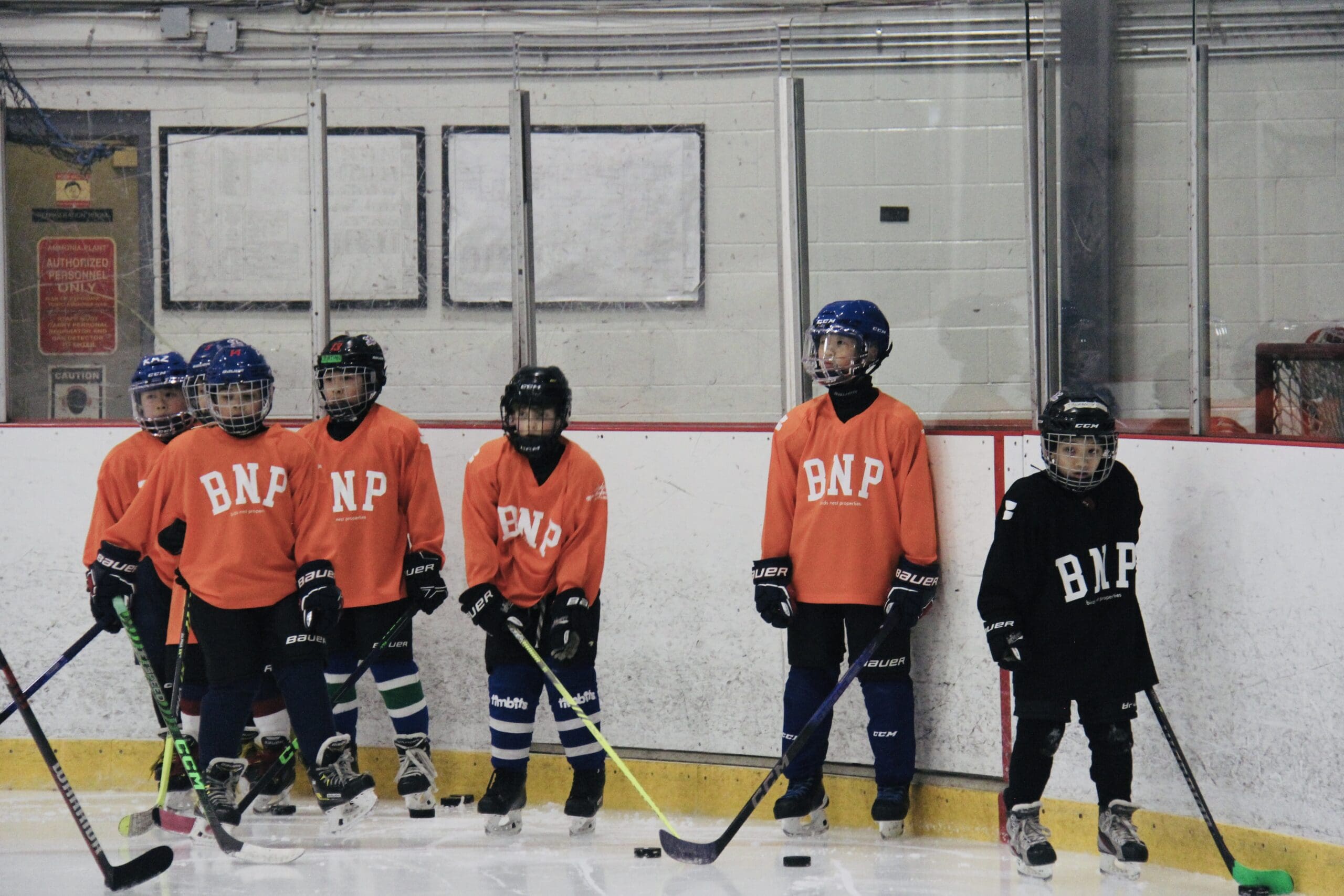 Birds Nest: Community Power Skating | Birds Nest Properties